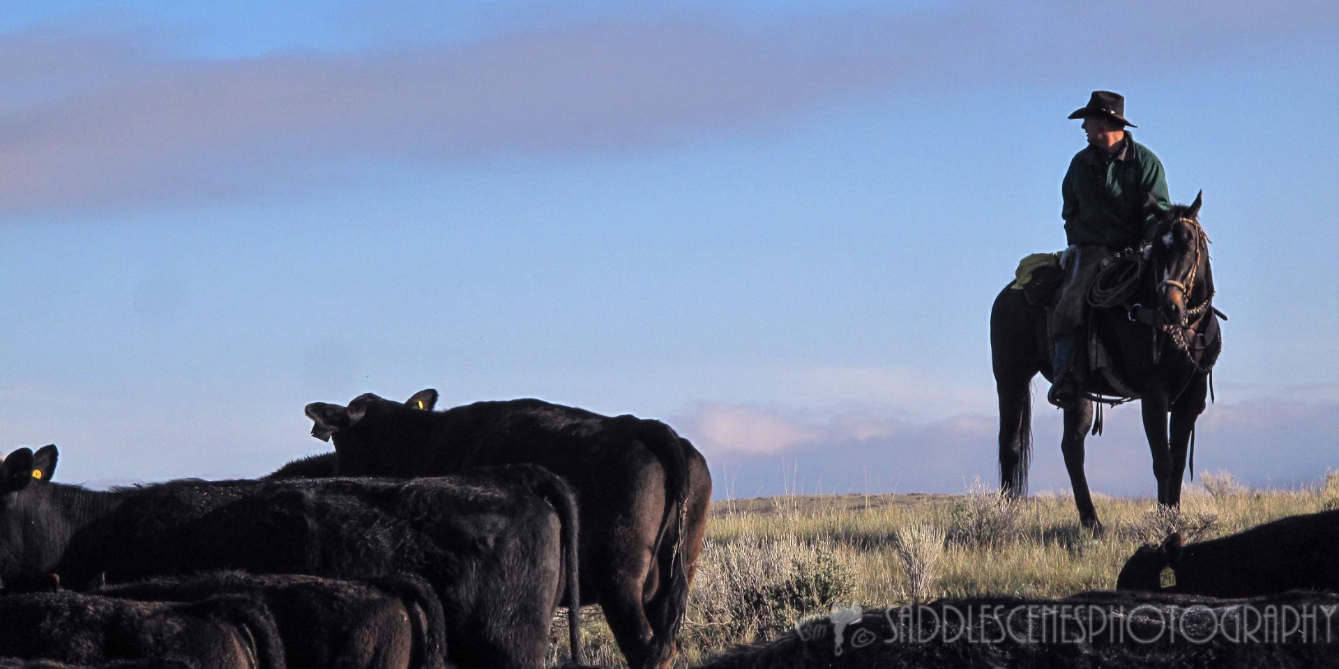 Living Western – The Adventure Cowboy